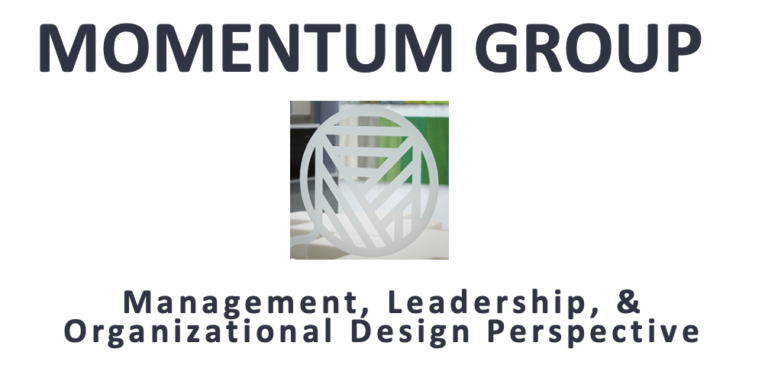 Momentum Group Case Study | Free Management Resources